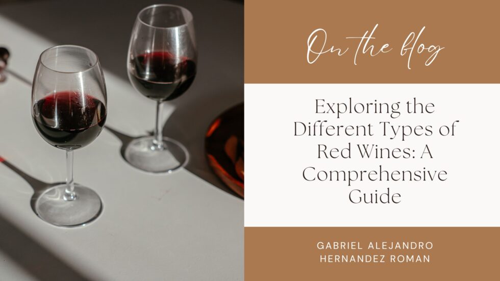 Exploring The Different Types Of Red Wines: A Comprehensive Guide ...